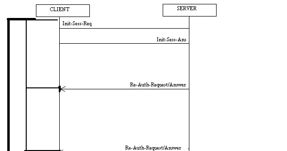 Diameter Protocol Explained: Authorization Session