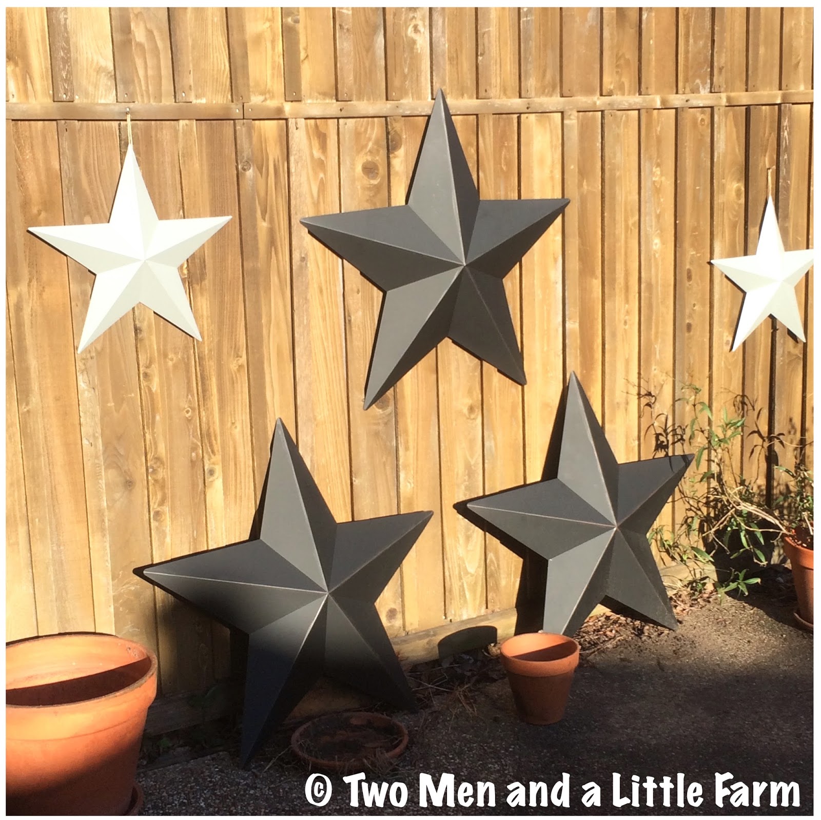 Two Men and a Little Farm: SEEING STARS