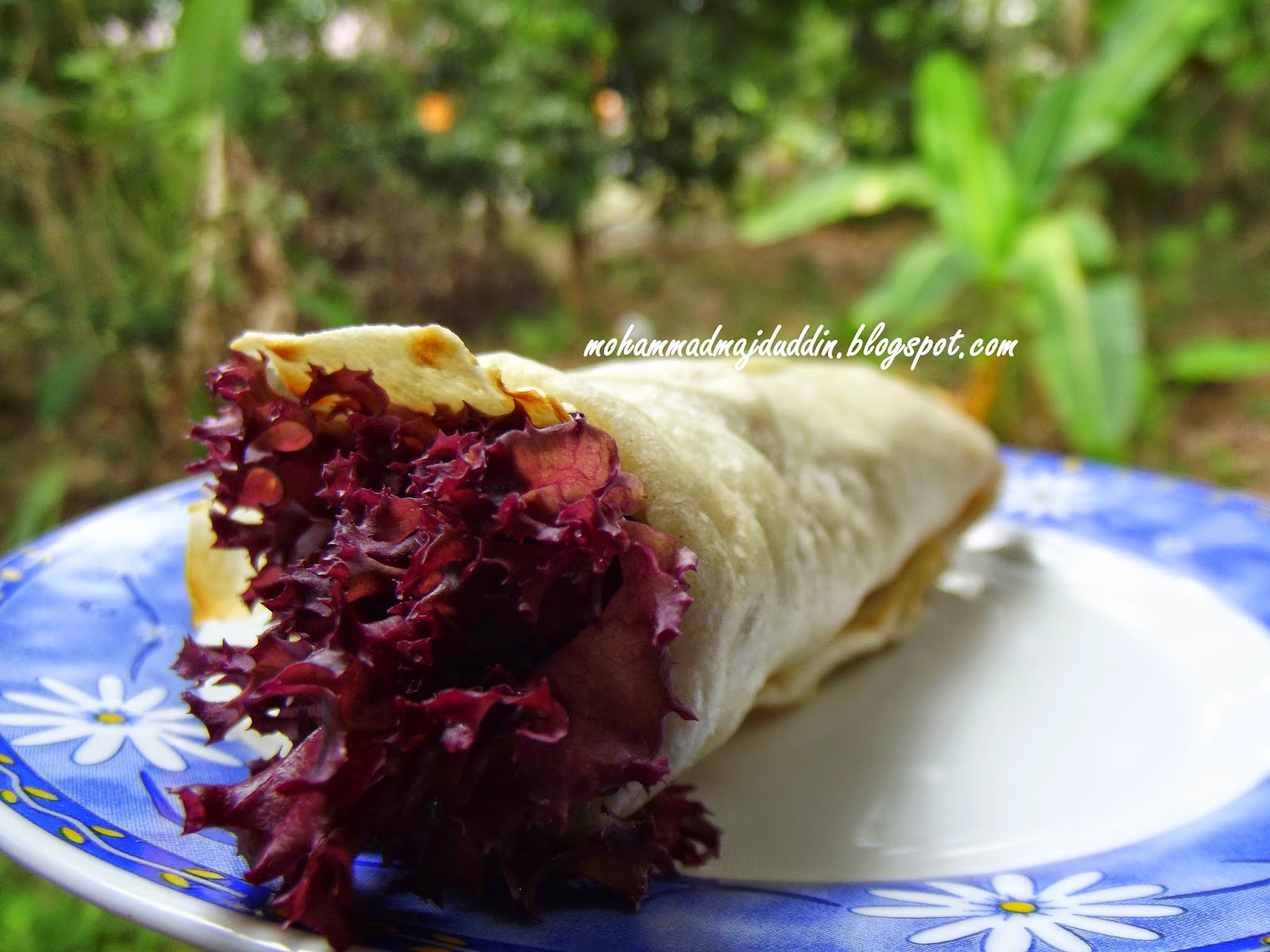 SALAM DUNIA: Resepi Inti Roti Tortilla