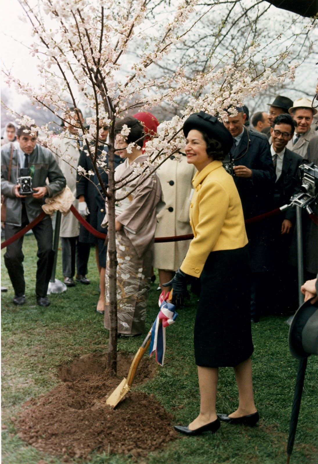 First Lady Lady Bird Johnson Planting a Tree During the Annual Cherry ...