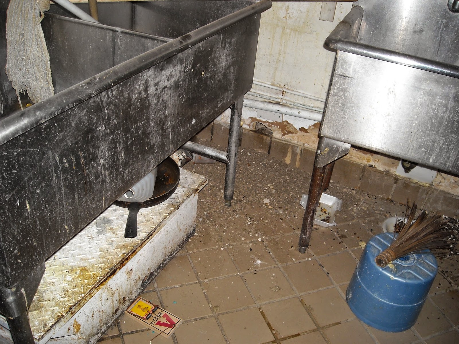 Health Inspector's Notebook: The '5-Second-Rule' - Would you eat food ...