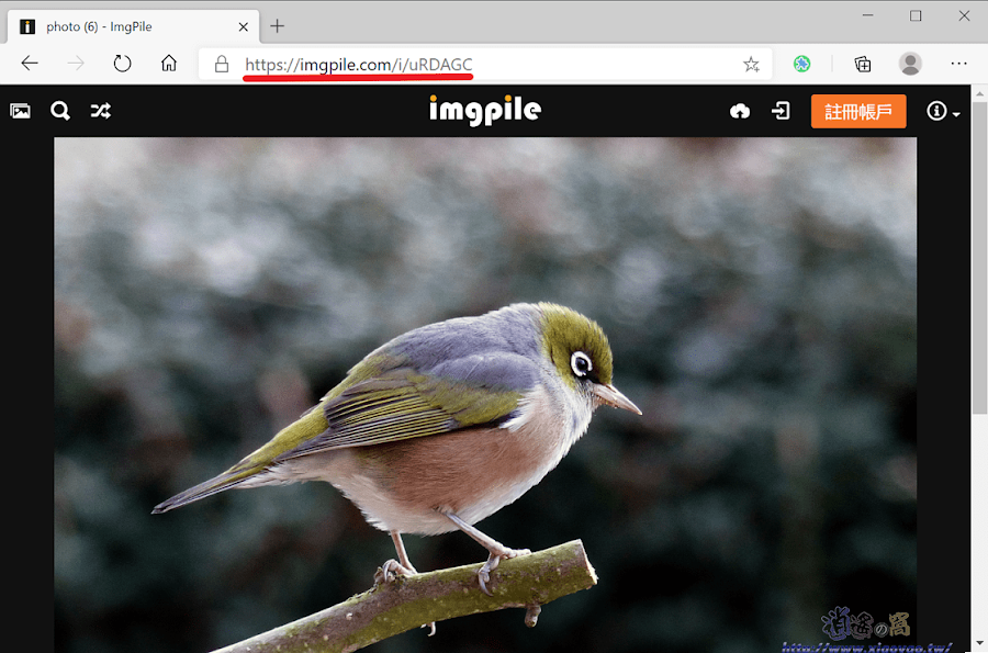 ImgPile 免費圖片儲存&共享服務，單檔 100MB 無限容量不砍檔可直連