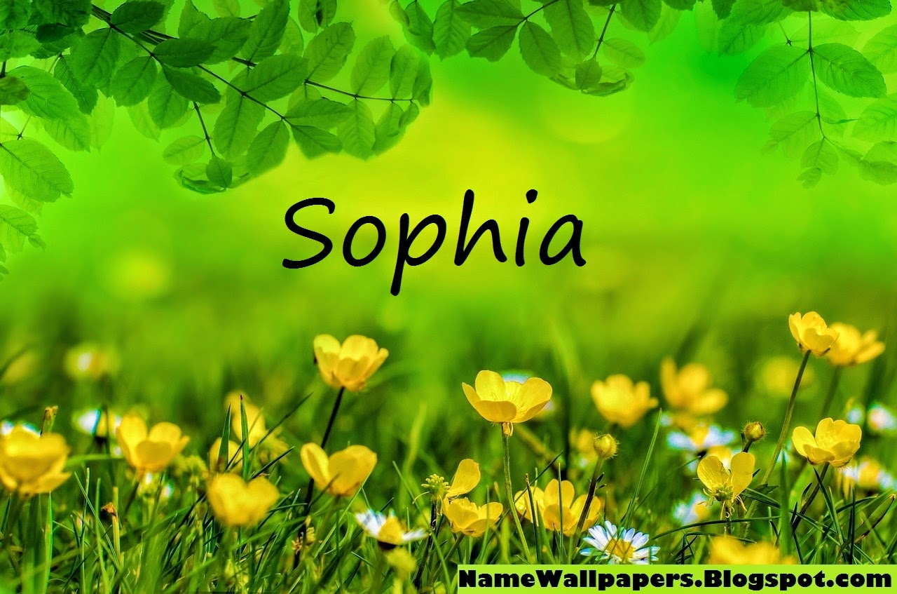 Sophia Name Wallpapers Sophia ~ Name Wallpaper Urdu Name Meaning Name ...