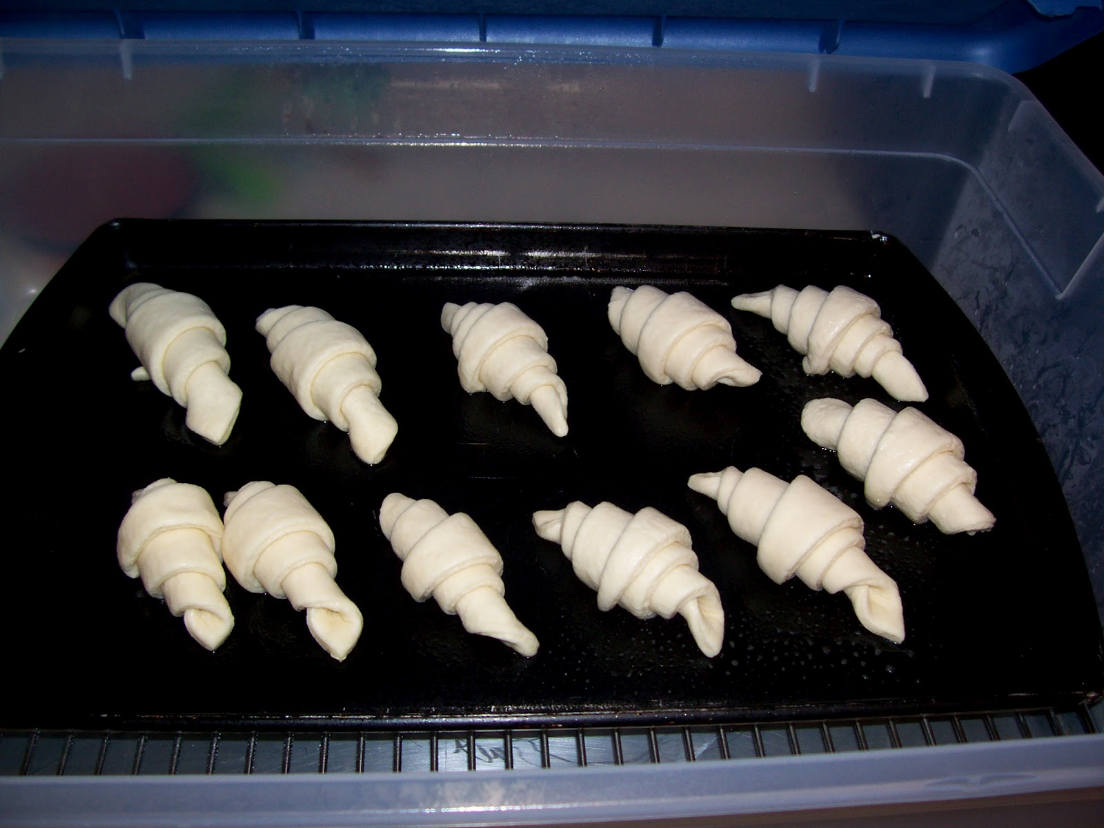 Homemade Proof Box for Croissants (and other breads) – Susan's Cooking ...