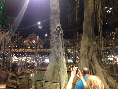 Born And Raised In The South...,: Memphis Bass Pro Shop In The Pyramid