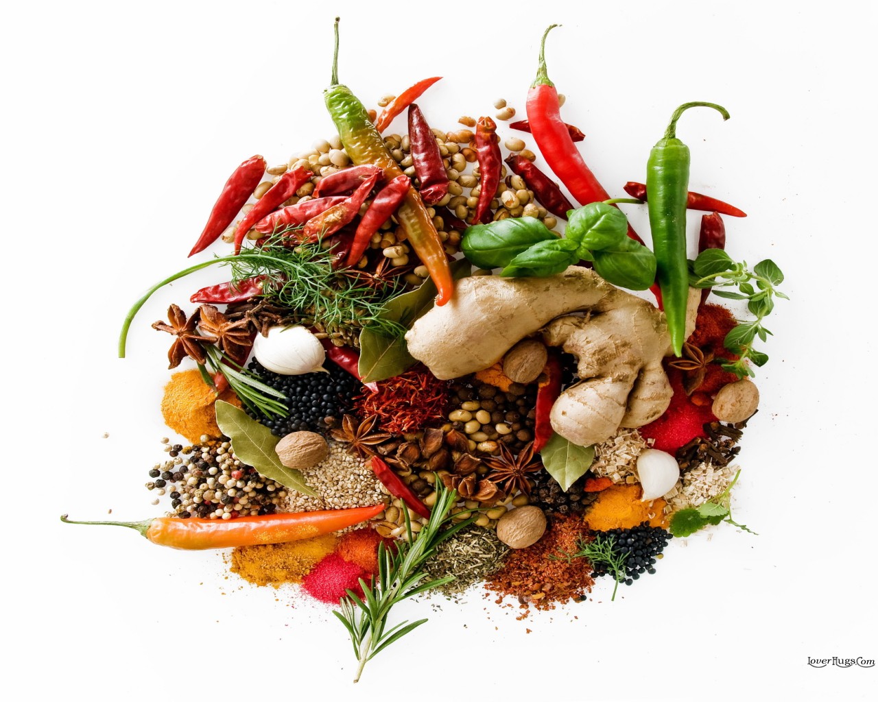 CEYLON SPICES FOR THE FUTURE | Number One Travel Destination