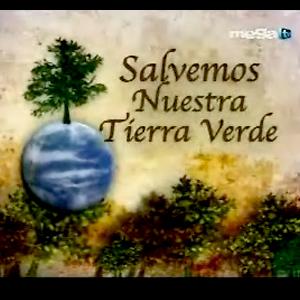 ayudemos a salvar al planeta: frases para salvar al planeta