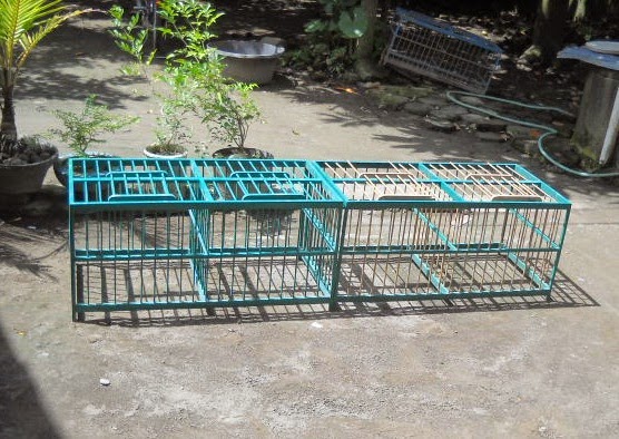 Kandang Untuk Menjemur Merpati Kolong | ruang usaha dan info property