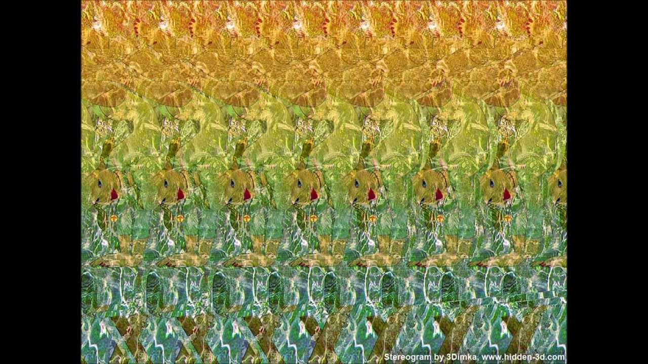නෙතින් දුටු ලොව: ත්‍රිමාණ දෘෂ්ටි මායා. (3D Optical Illusions)