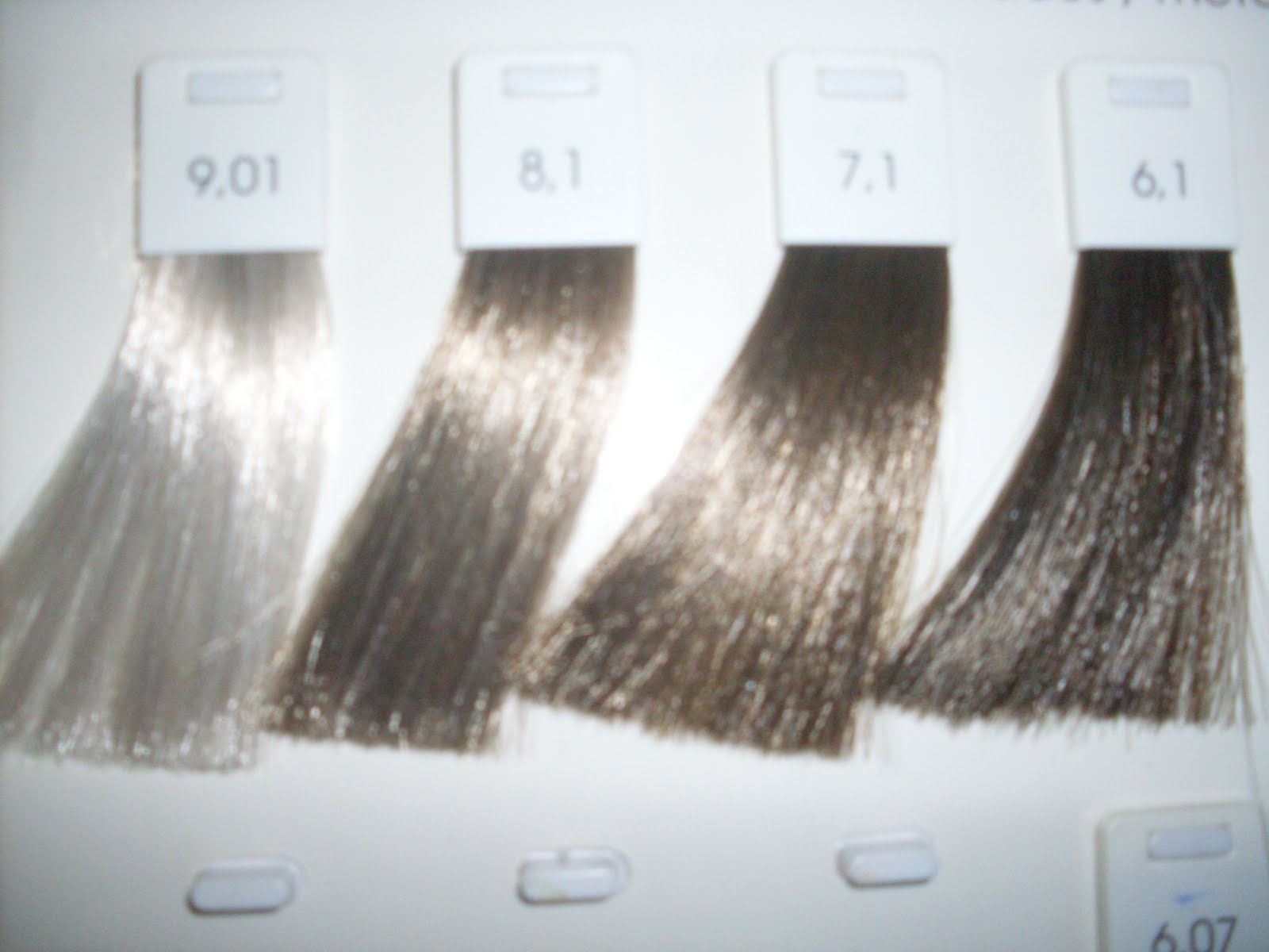 Meu segredo de beleza: Seminário Inoa L´oreal