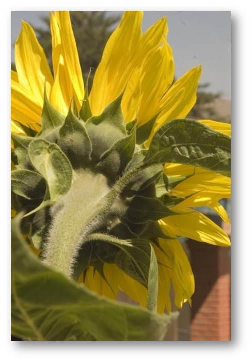 Sarah en Perú: Chillen! Tarma? Ok, wenns sein muss!