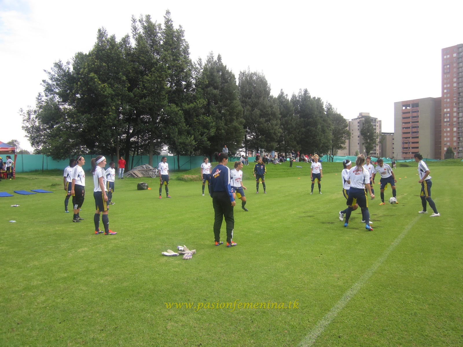 PASIÓN FEMENINA COLOMBIA: SELECCIÓN COLOMBIA FEMENINA INICIA ...