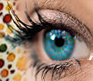 Color Blindness Disease - All Body Disease