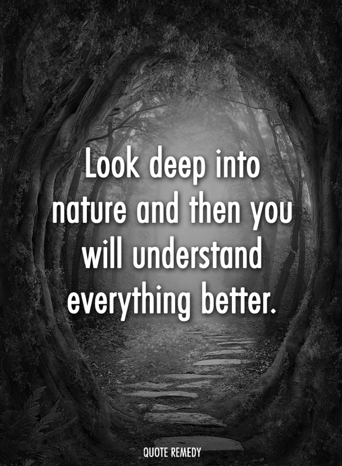 Quotes Look deep into nature and then you will understand everything ...