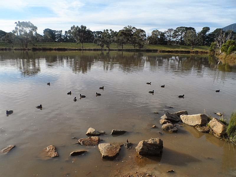 TRACKS, TRAILS AND COASTS NEAR MELBOURNE : Boronia - Liverpool Rd ...