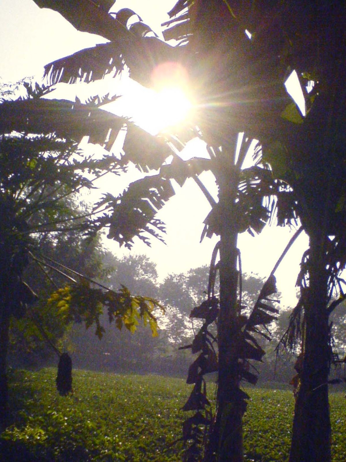 Graha Mitra Citra Panongan Tangerang: Graha Mitra Citra, Panongan