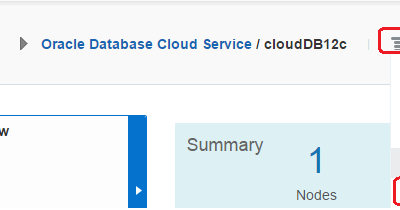 SOA Cloud- Enable Outside Access to Oracle Database Cloud Service Instance - Oracle Fusion ...