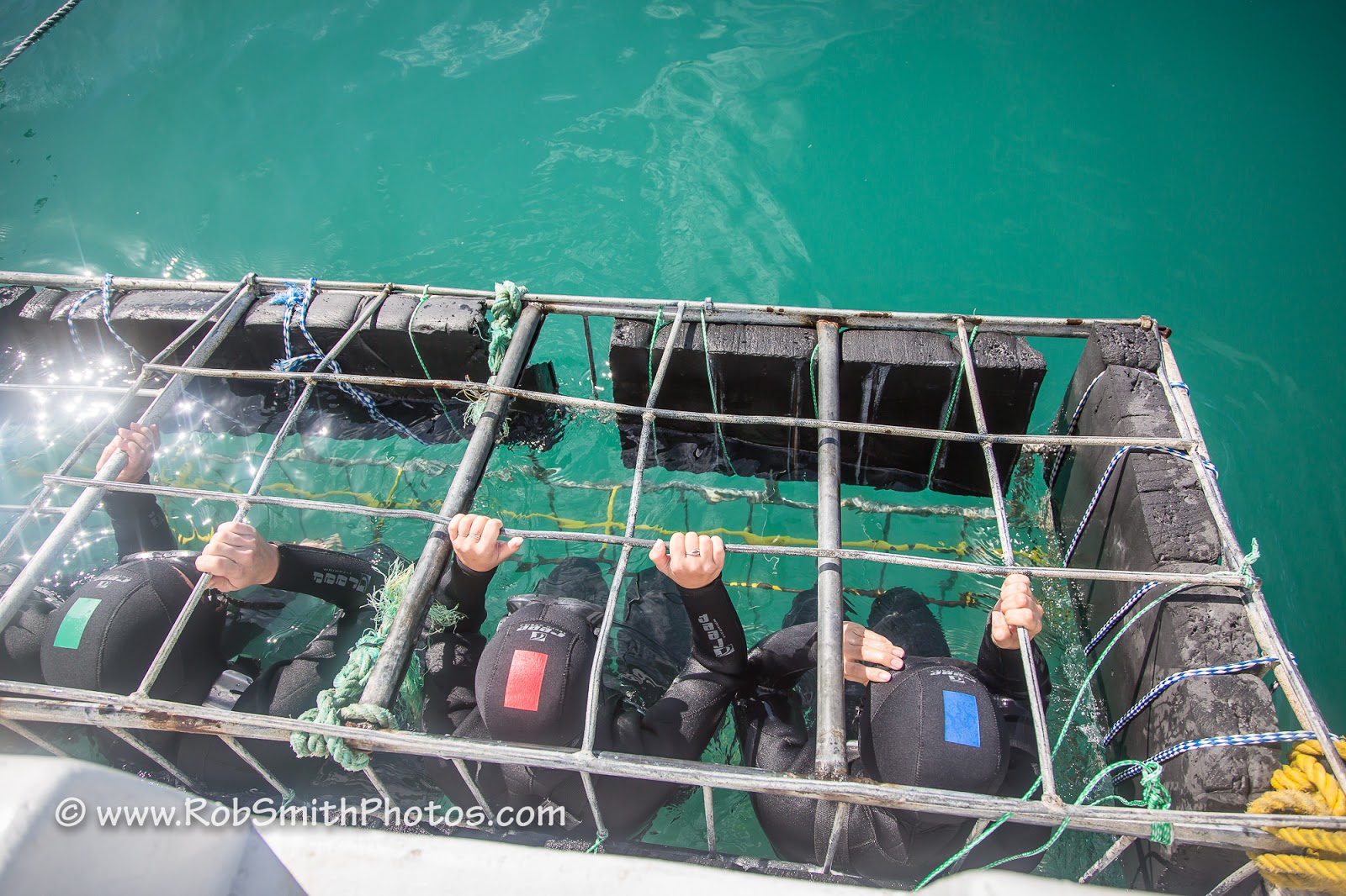 Rob Smith Photography