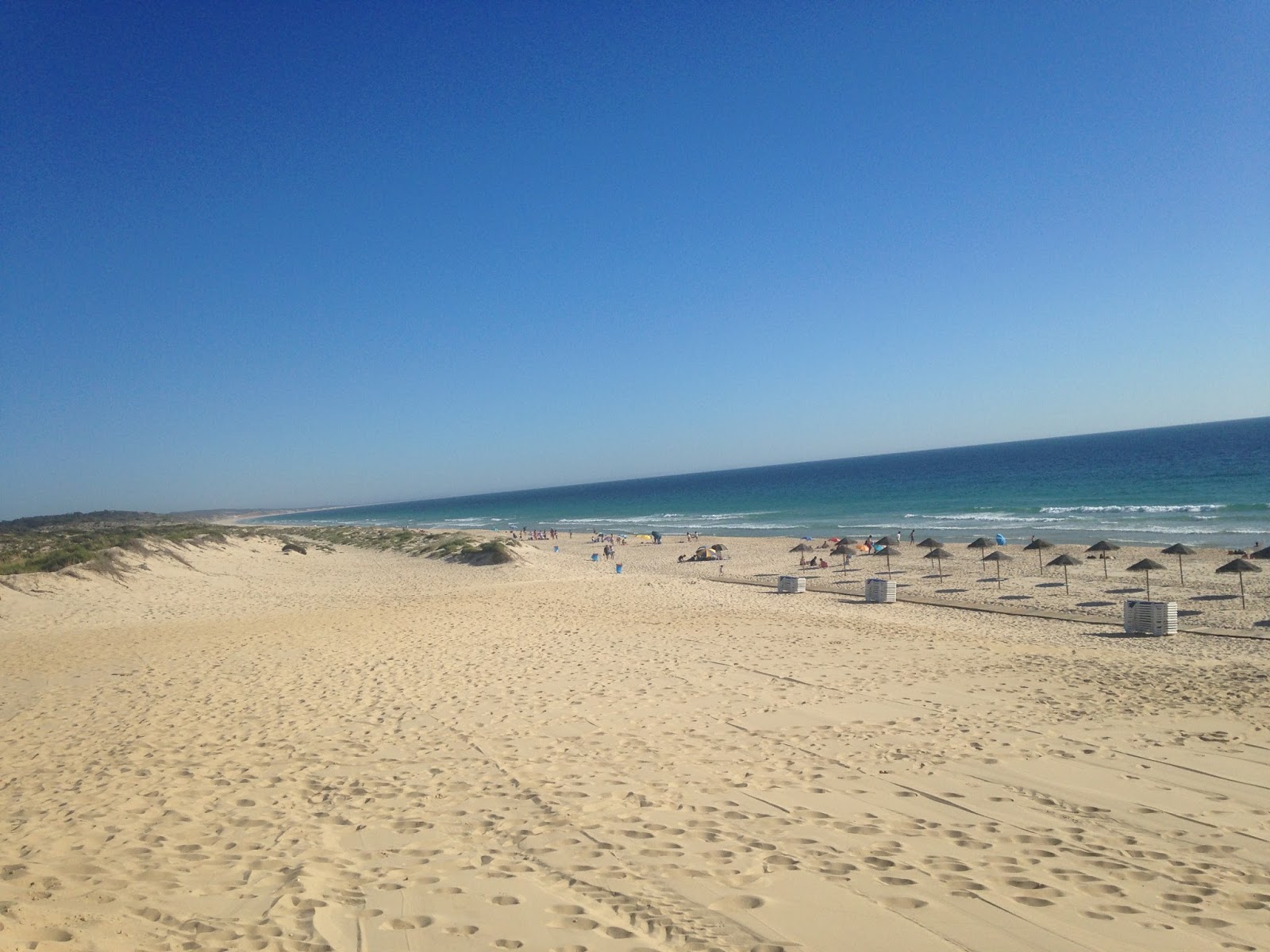 Comporta: un destino por descubrir
