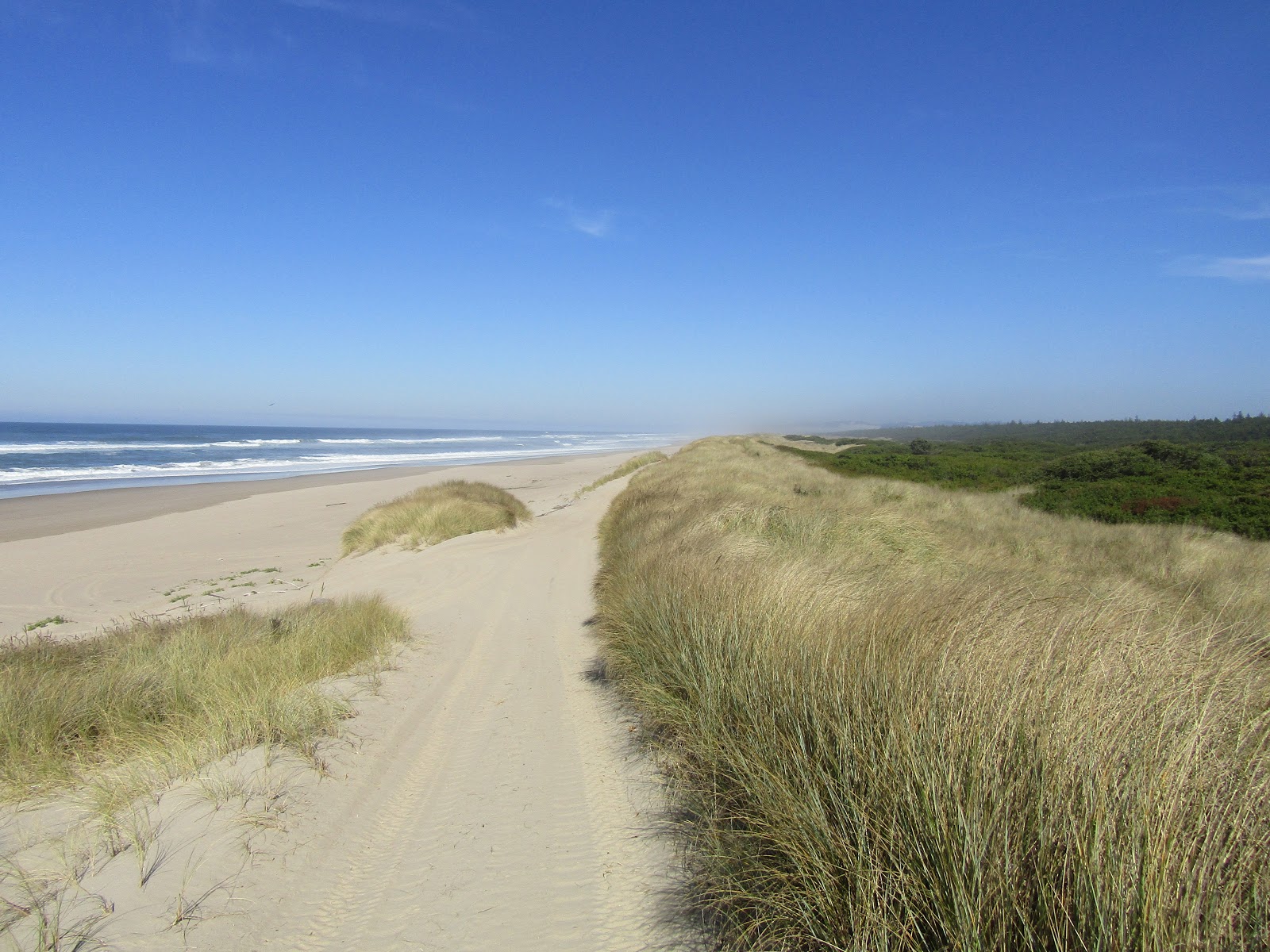 Holly's Horse Tales and Trails: Wild Mare Horse Camp, and the North ...