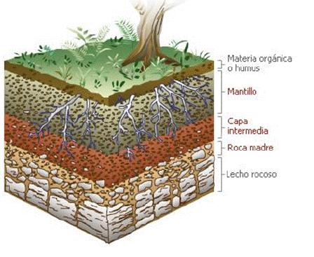 Muestreo de suelos: Capas del suelo