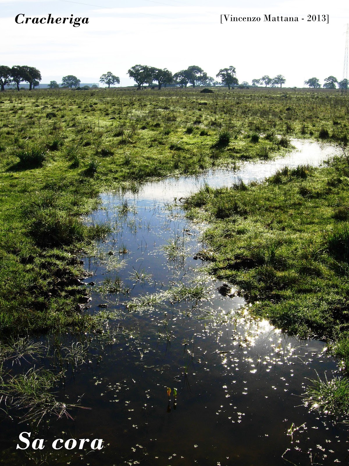 Abbasanta - le radici: 1545 - Sa cora