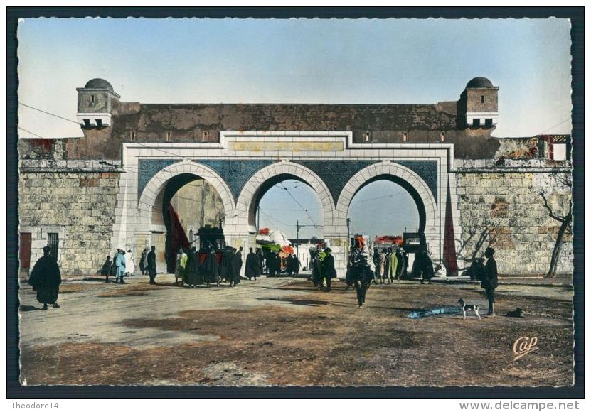 CULTURE et PATRIMOINE DE TUNISIE EN IMAGES- MOHAMED HAMDANE-ثقافة وتراث ...