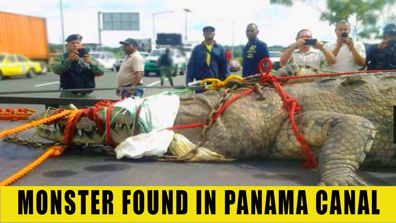 The Significance of R: Monster Found In Panama....