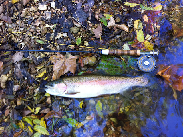 Trout Journeys: 20 Inch Crane Creek Rainbow, a truly rare trout stocked ...