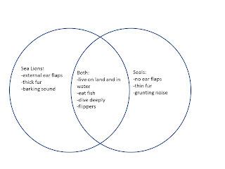 Using Graphic Organizers with Vocab Intervention