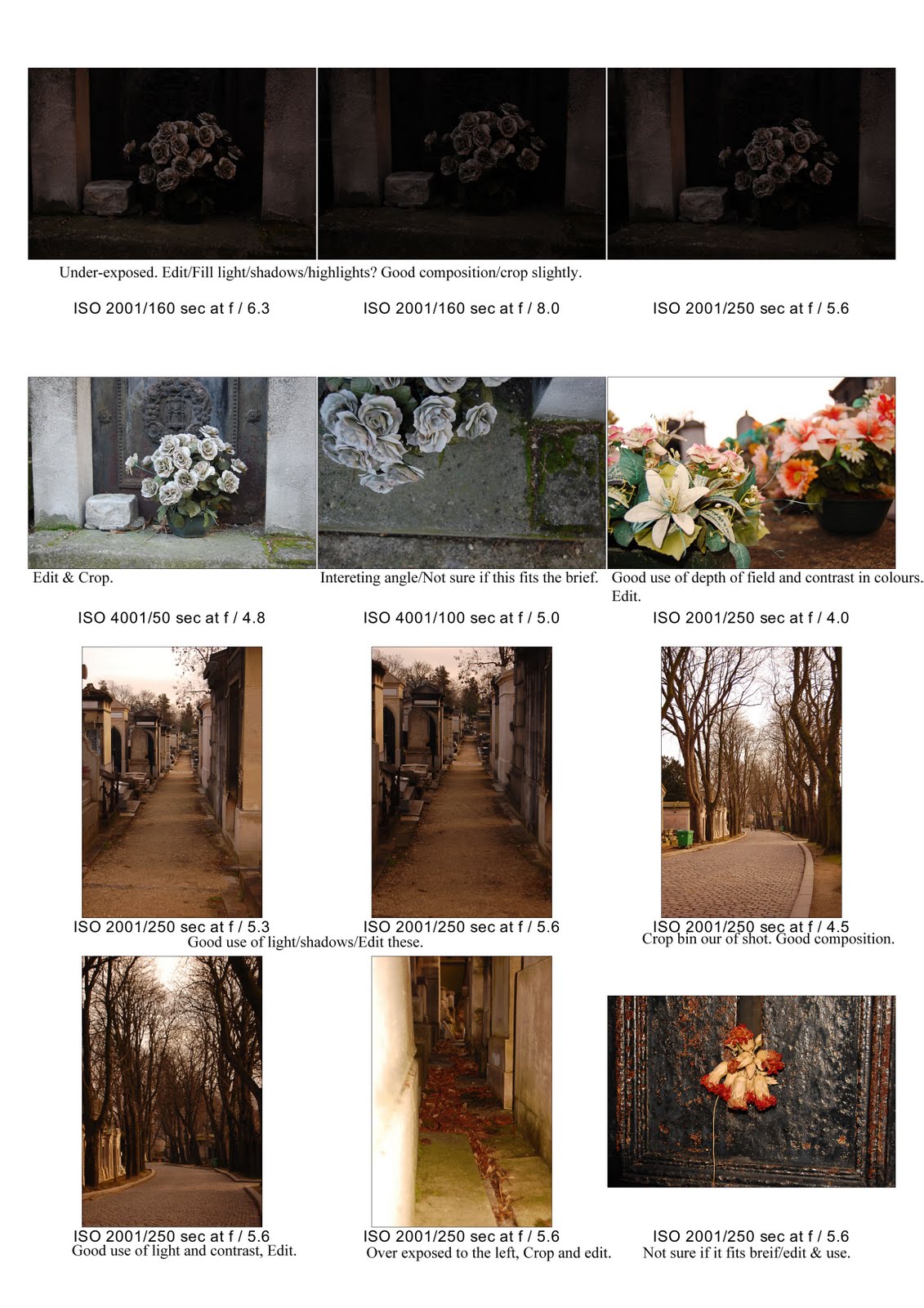 Jessica Hill's Photography Blog.: Foreign Landscape.