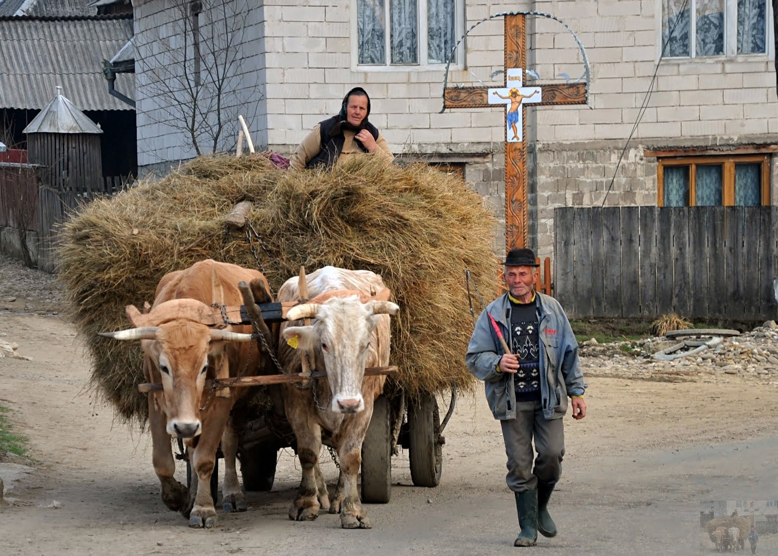 PHOTORAMA my photo blog: "CAR CU BOI" SECOLUL XXI/"CAR CU BOI" XXI CENTURY