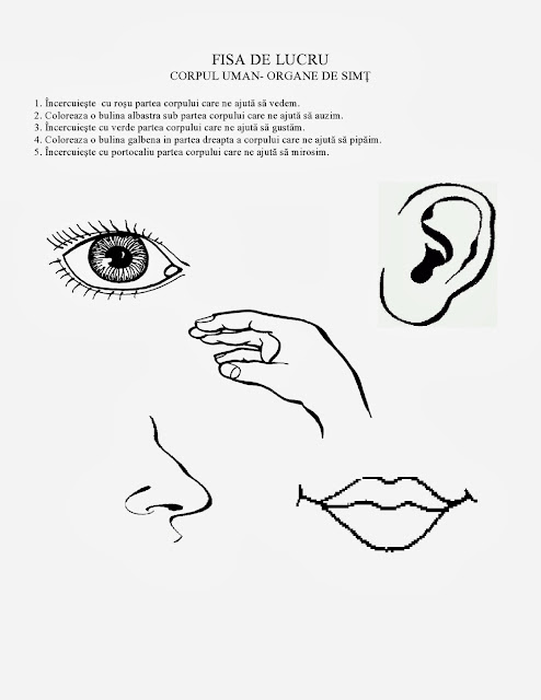Corpul Uman/ Obiecte de ingrijire personala - Fise de lucru pentru ...