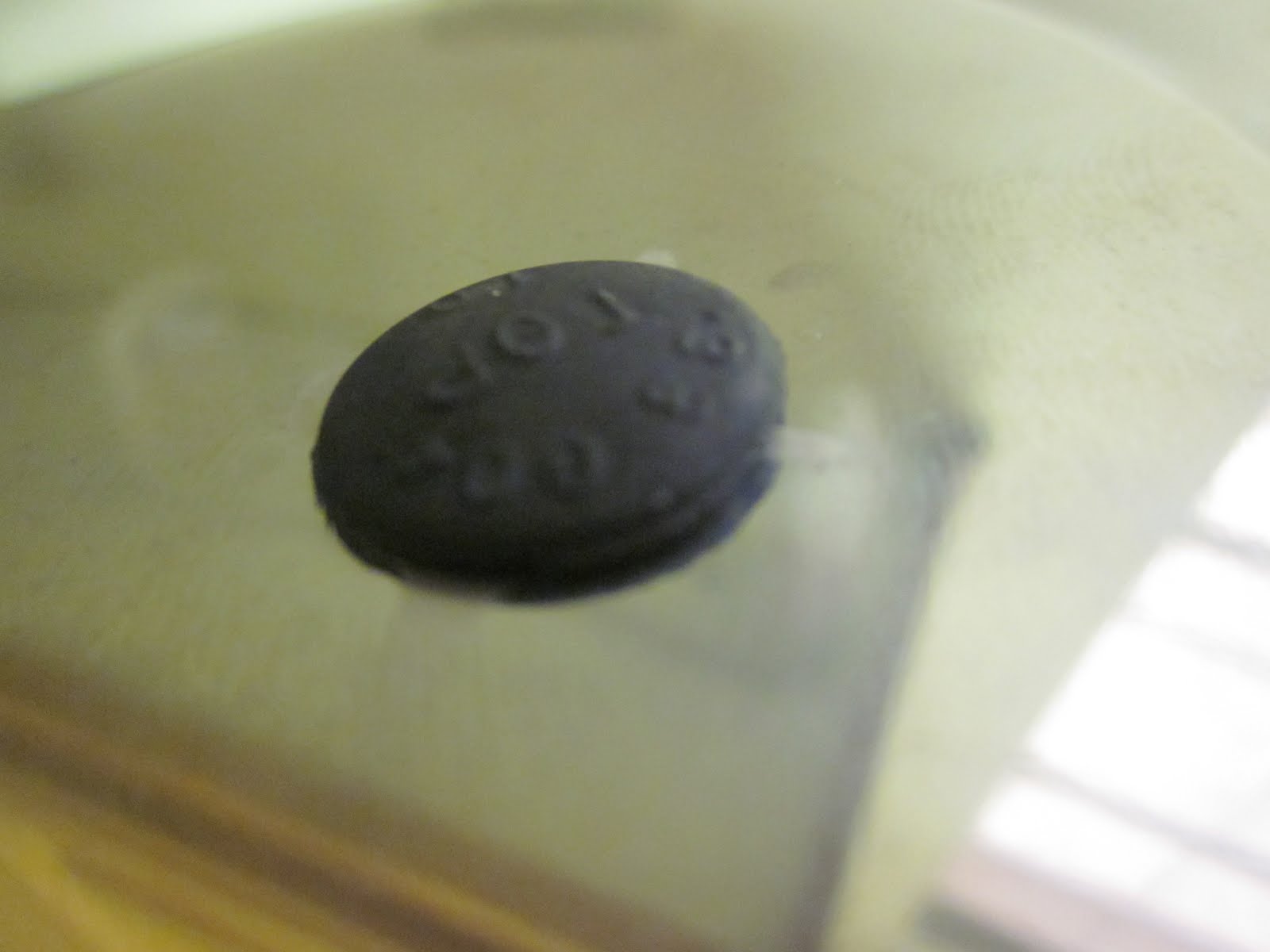 Chef Tess Bakeresse: Creamy Coconut Lime Millet Breakfast Pudding ...