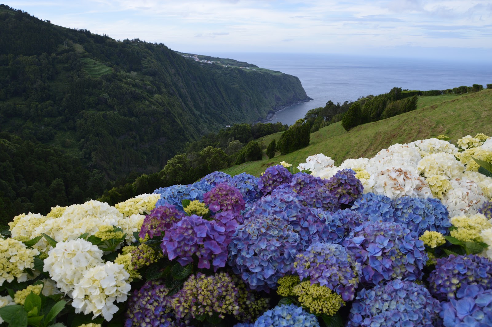 Idaiary: Sao Miguel (Azorerna) Atlantens Island med bubblande grön natur