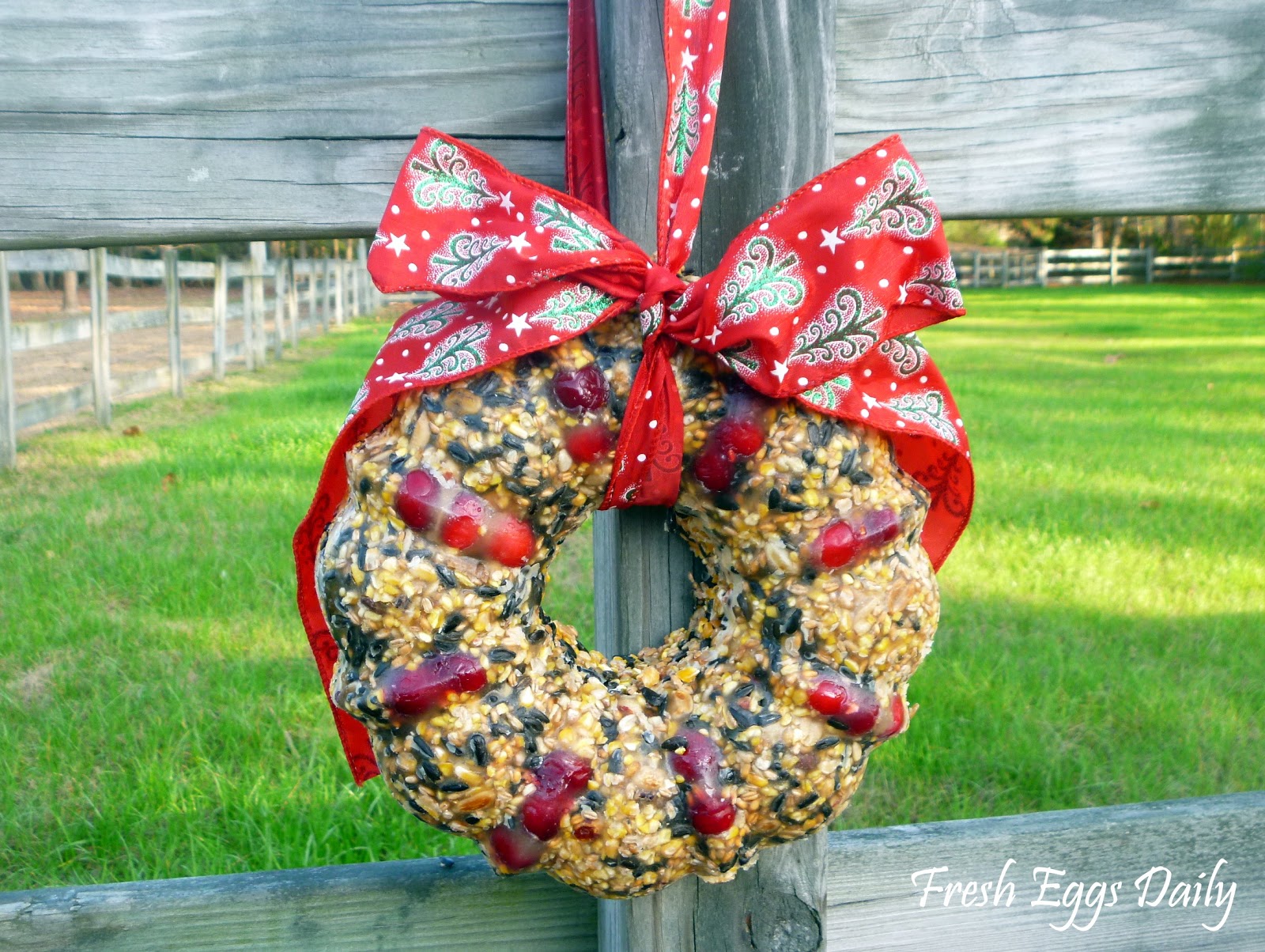 Holiday Treat Wreath for Chickens - Fresh Eggs Daily® with Lisa Steele