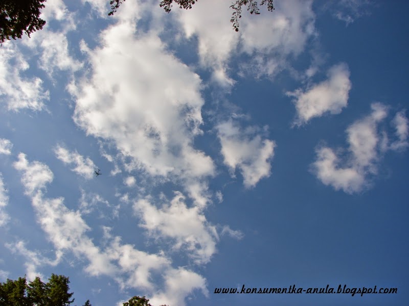 Anula bloguje... testy, opinie, medycyna, kulinaria i inne kreatywności ...