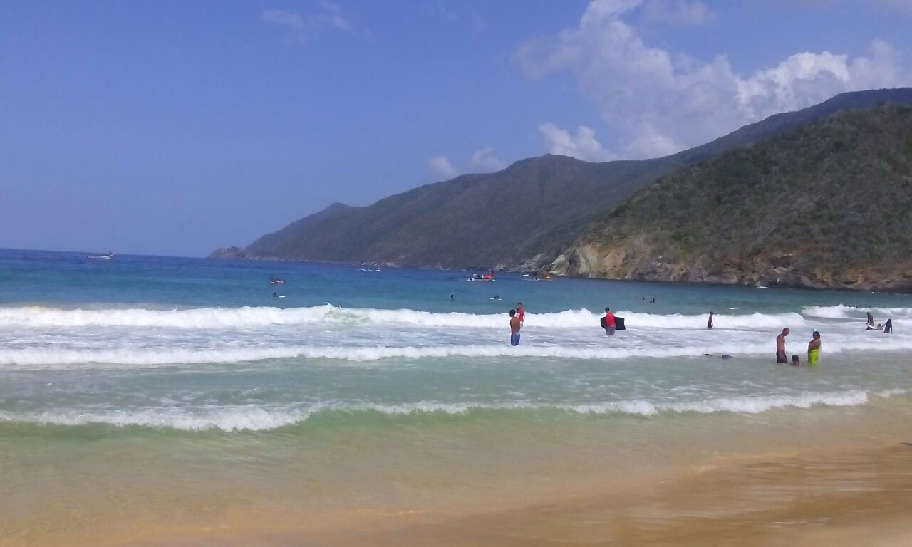 Andando por Venezuela: Choroní (Playa Grande) - Tuja