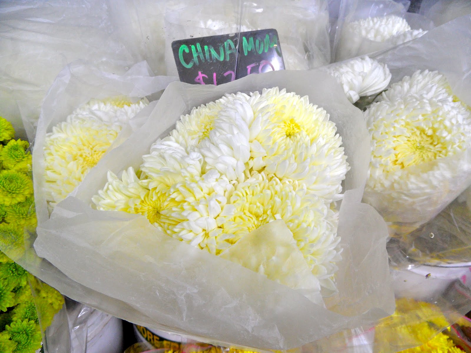 she and him: oh the flowers...