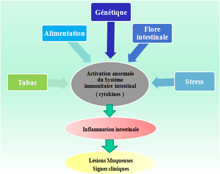 La Rectocolite Hémorragique