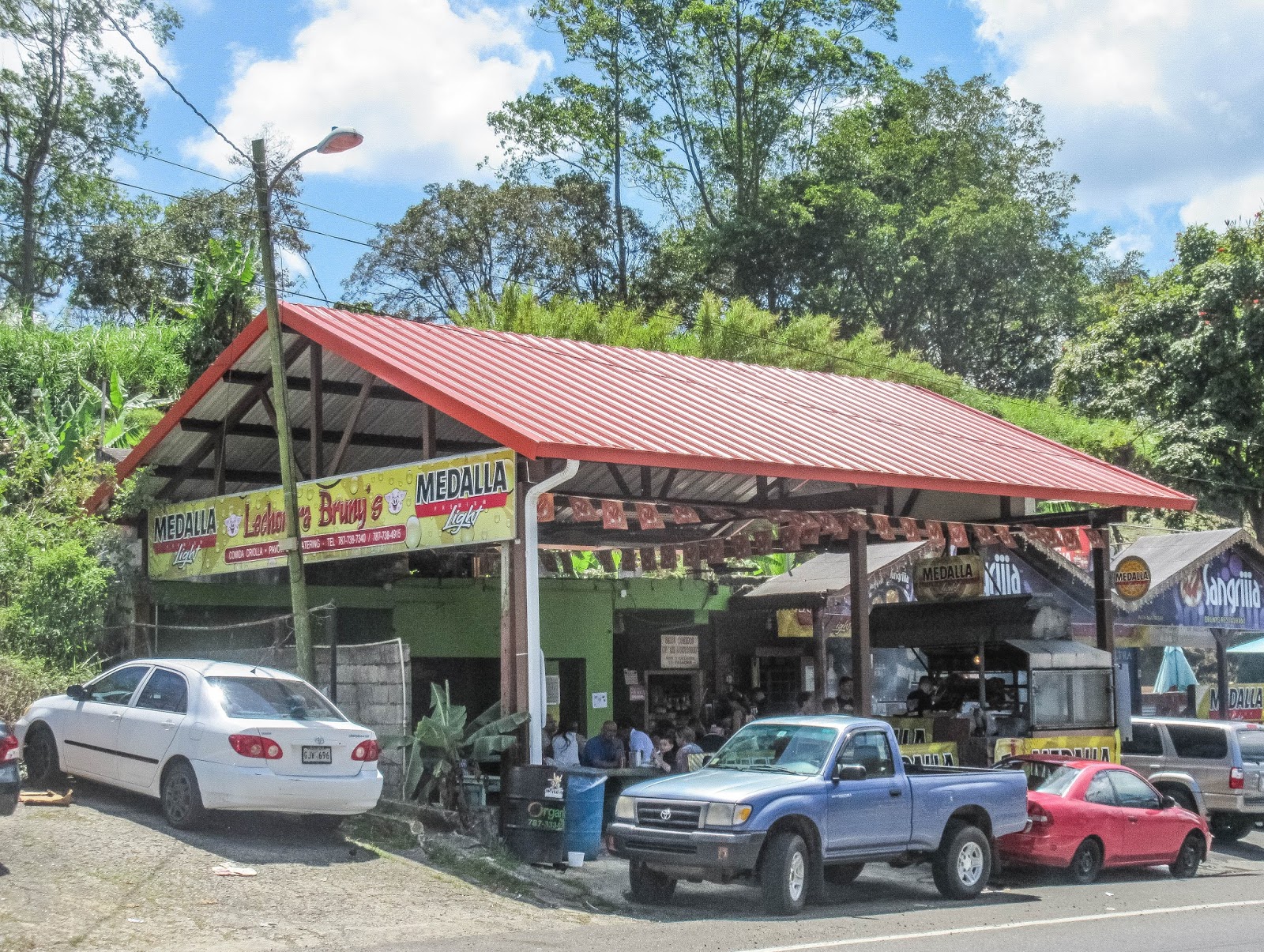 Souvenir Chronicles: PUERTO RICO: LUNCH AT A LECHONERA ON PORK HIGHWAY