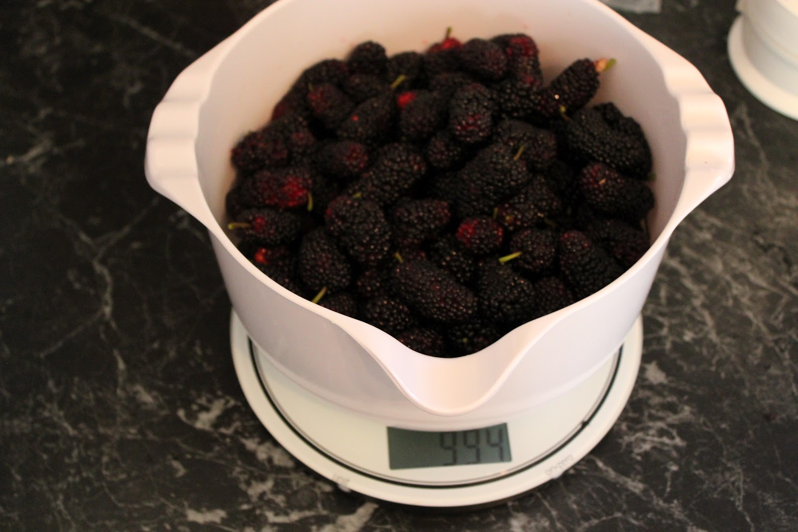 Things That Grow: Mulberry Jam Recipe #1: Basic