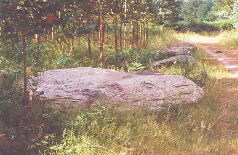 Dolmenes, Menhires, Pedrafitas, Antas: Anta-dolmen de Aiazo (Frades) e ...