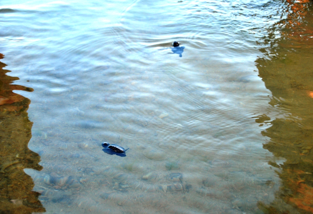 A tropical journey towards the genuine art and culture of Bali