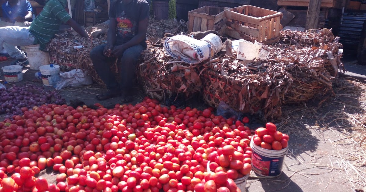 SAFARI 255: Bei ya nyanya yapolomoka soko la Buguruni.