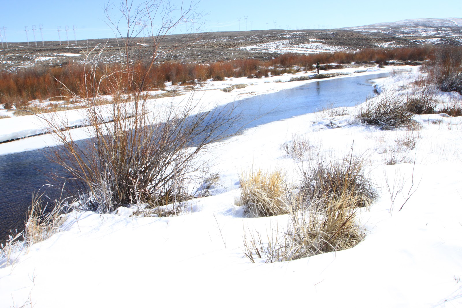 River Tales: Ham's Fork Wyoming