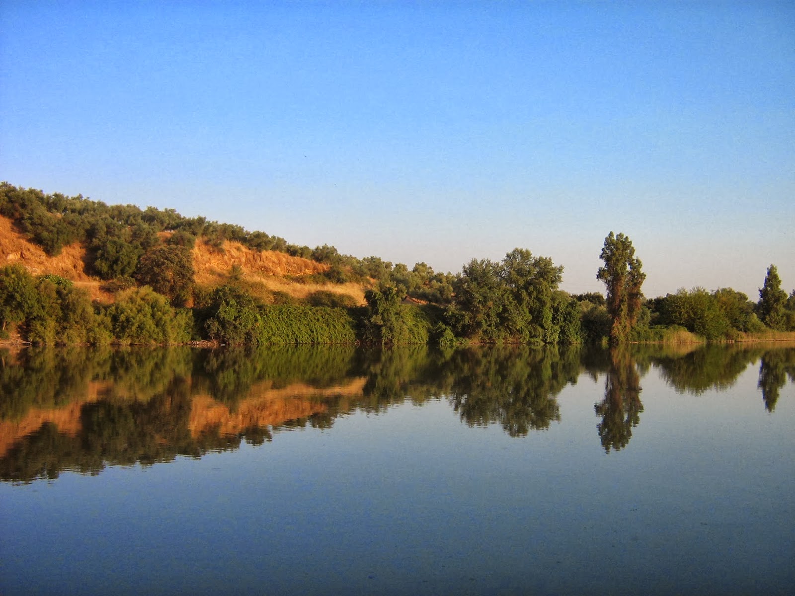 PRIMER INFORME QBR SOBRE LA RIBERA DEL RÍO GUADALQUIVIR A SU PASO POR ...