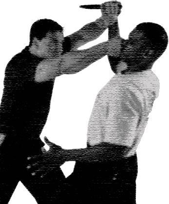 Defensa Personal: ¿Qué es la defensa personal?