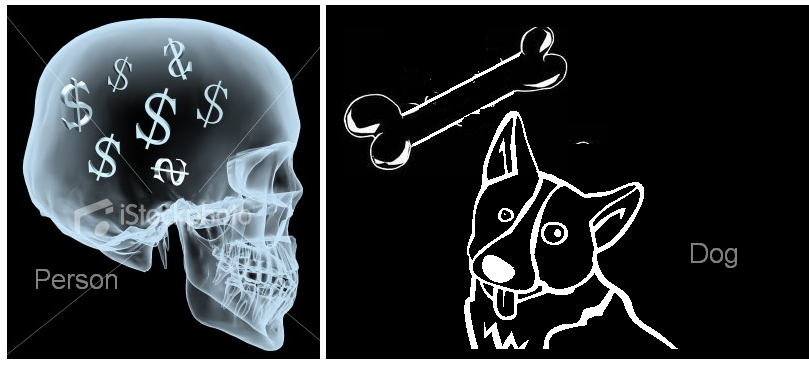 Types of Greed | Accounting Education