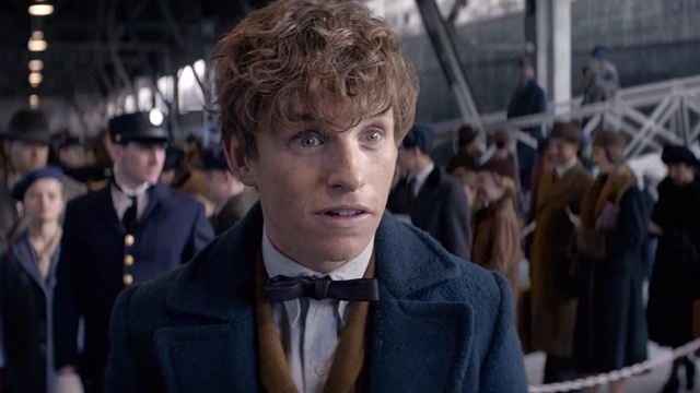 Biografia do personagem: Newt Scamander
